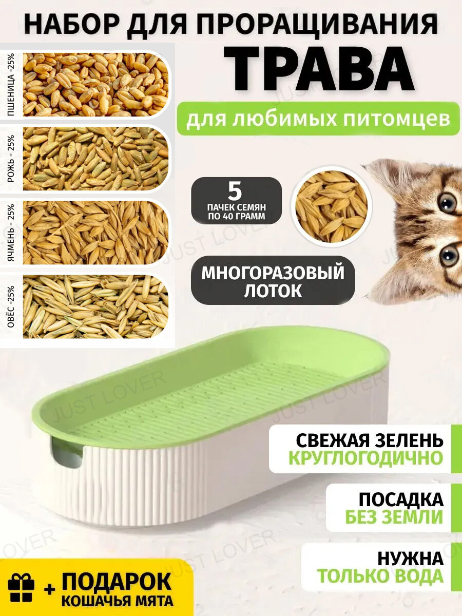Миска для животных