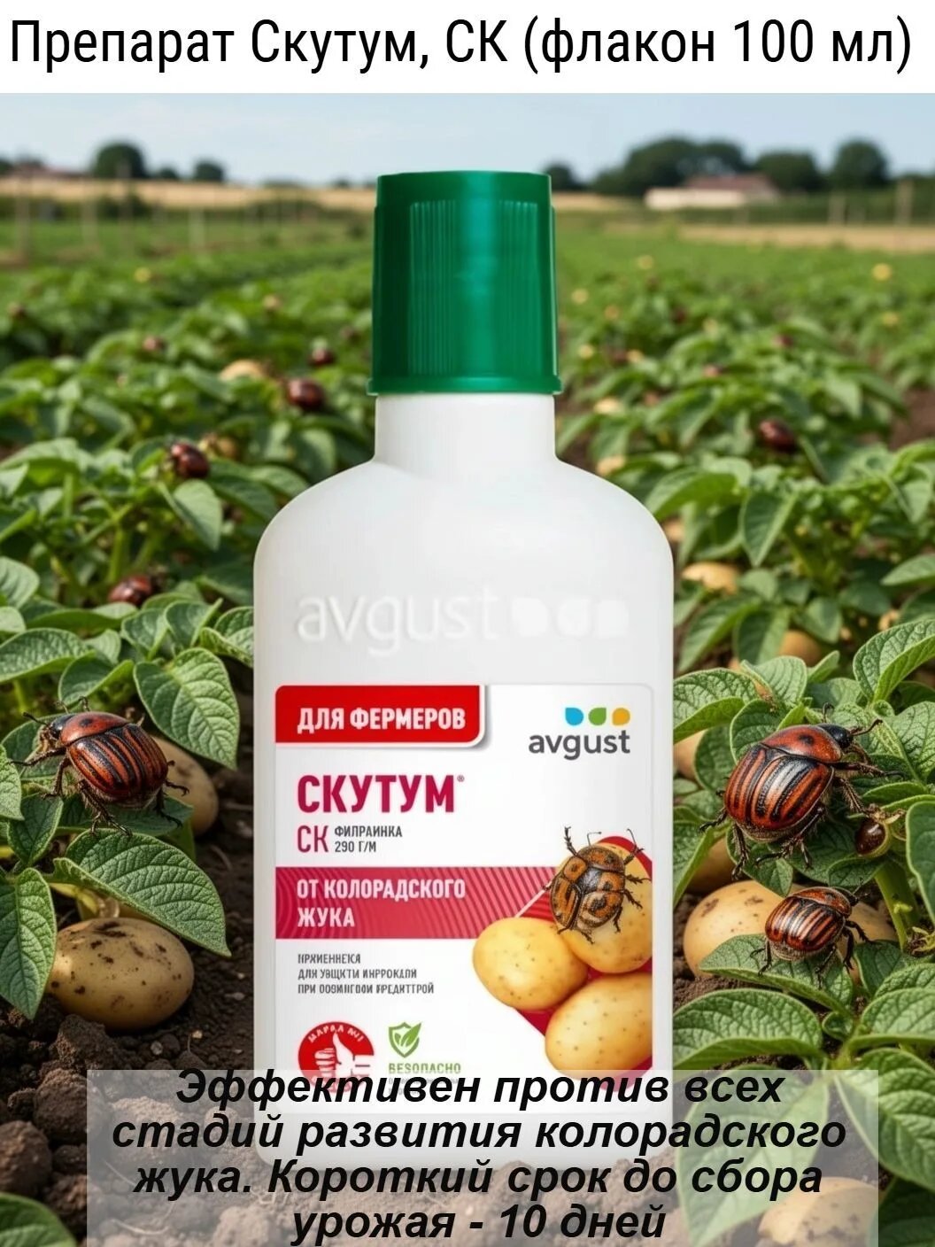 Средство avgust Скутум от колорадского жука для защиты картофеля, 100 мл