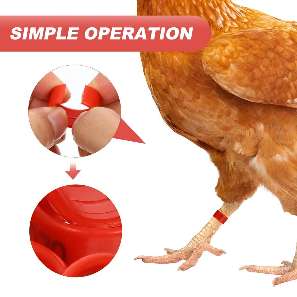 Красные пластиковые кольца для лап птиц, номерные, набор из 100 шт, для маркировки кур и другой домашней птицы