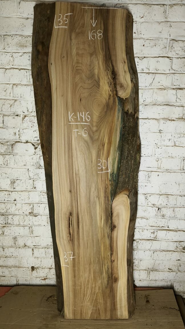 Слэб дерева Карагач К146, выровнен в плоскости, влажность 8-10%