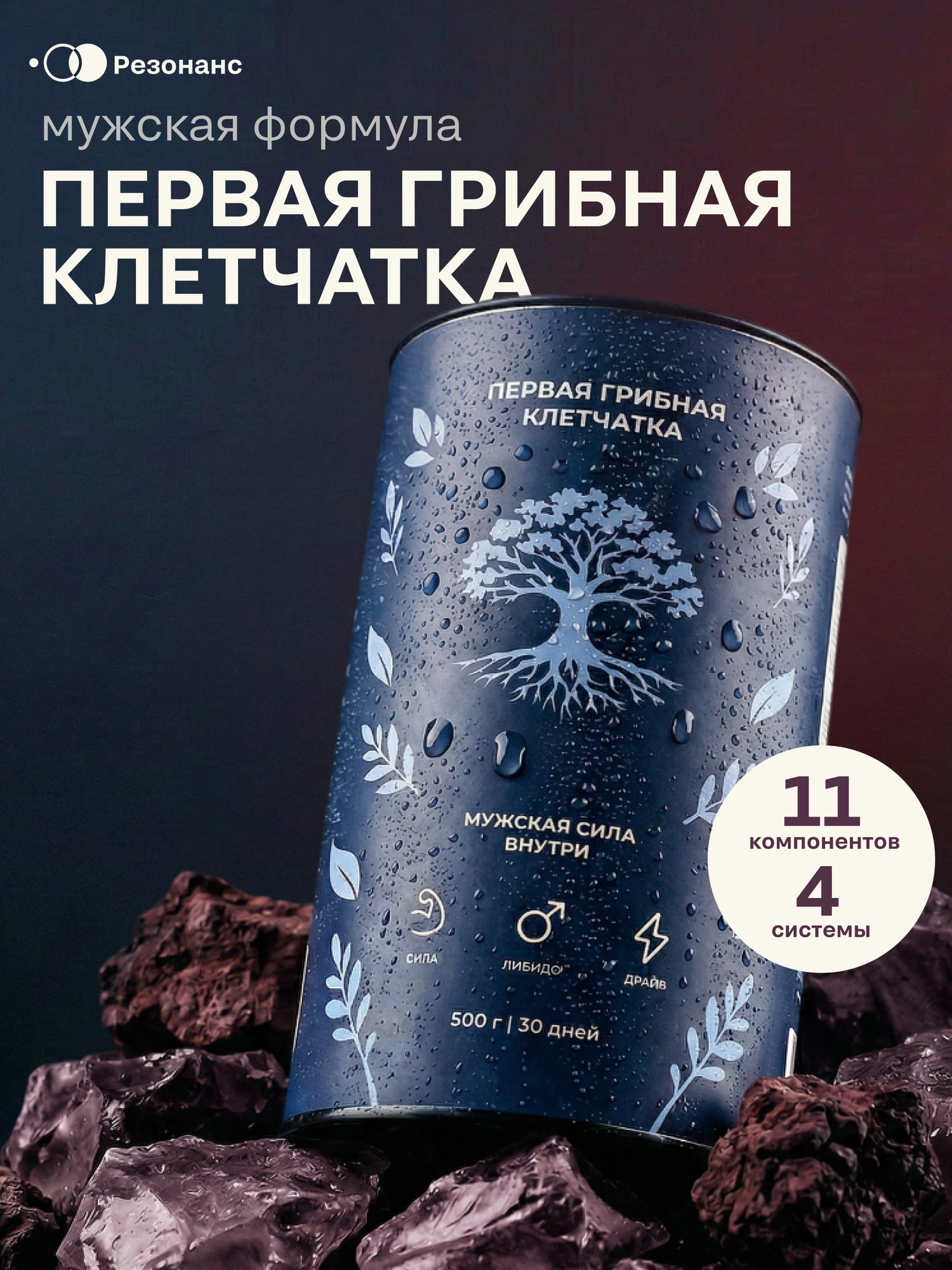 Клетчатка грибная для мужчин с псиллиумом и инулином, тестостерон, для похудения, очищение организма, микрофлора и ЖКТ, детокс, 500 г