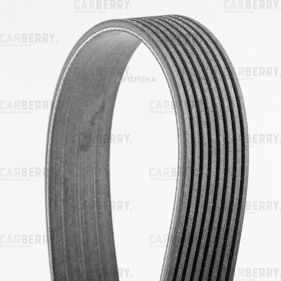 Ремень поликлиновой CARBERRY 8PK2166 Universal
