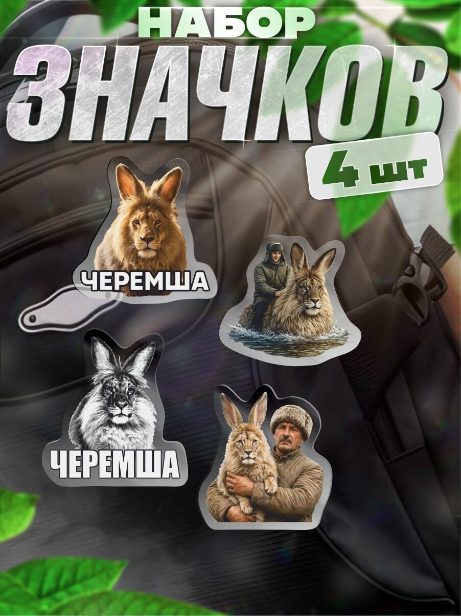 Набор значков