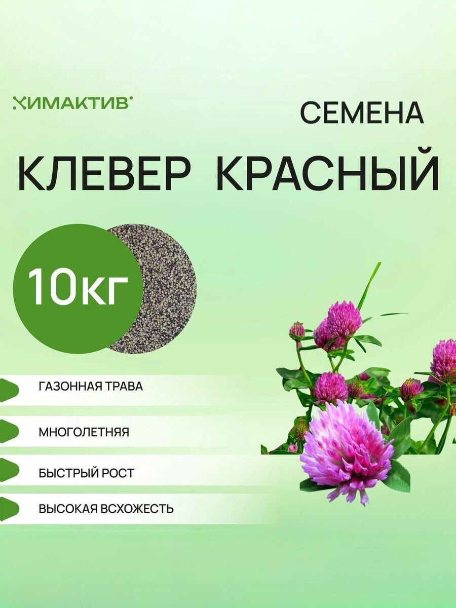 Клевер красный 10кг/ газонная трава