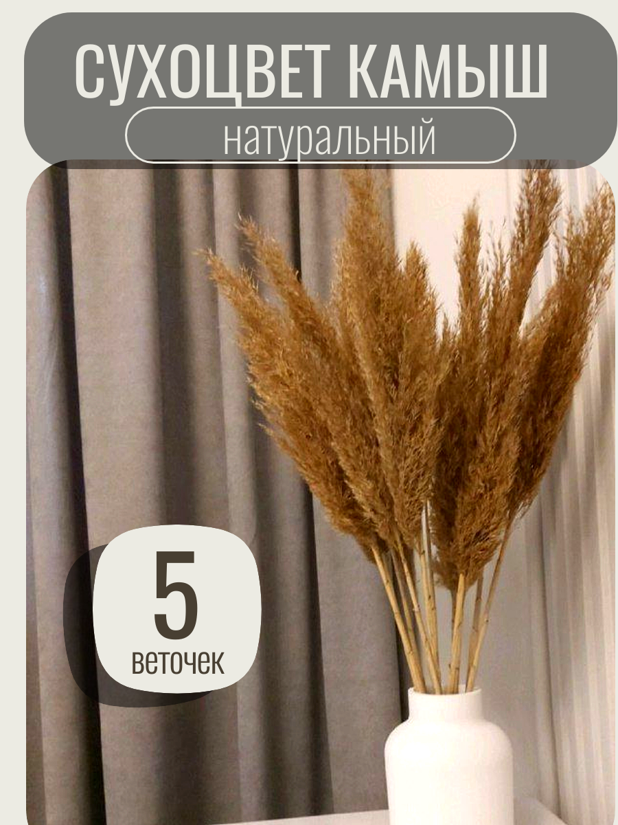 Сухоцветы для интерьера, камыш, пампасная трава. 5 веточек, 80см