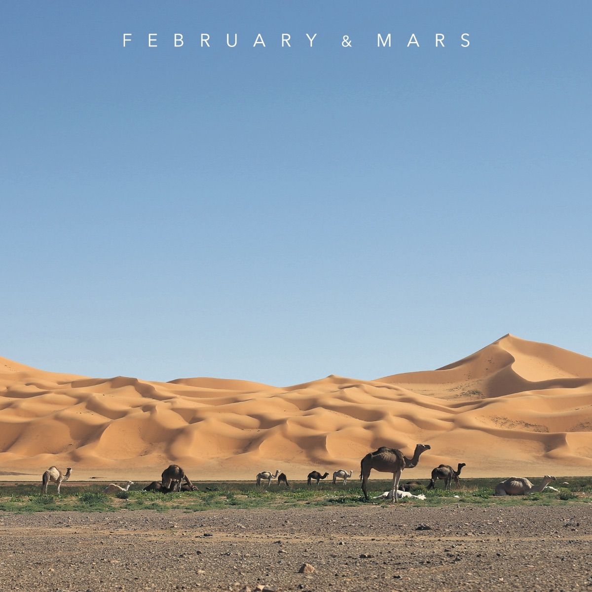 Виниловая пластинка February & Mars - February & Mars (LP) 2015