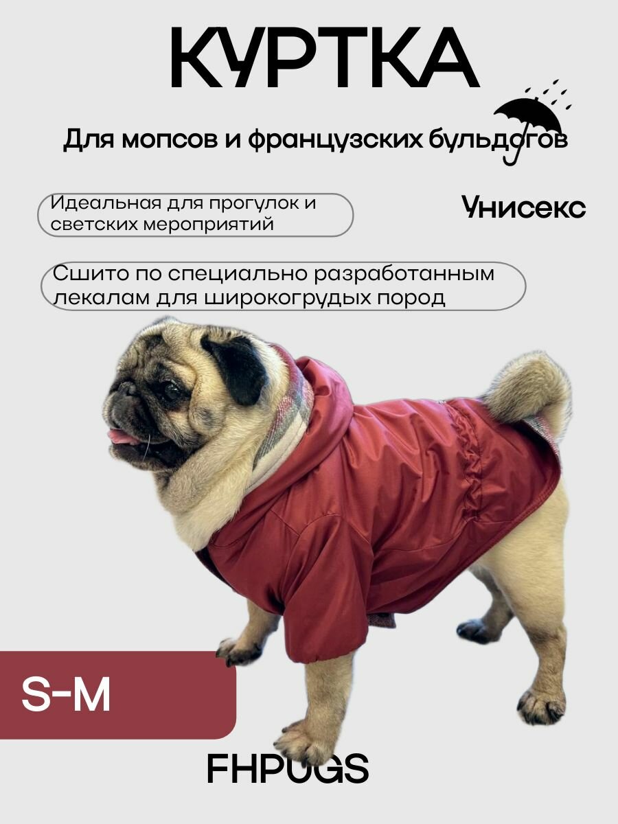 Куртка-дождевик, размер M, для мопсов и французских бульдогов, бордовый, водоотталкивающий, с капюшоном