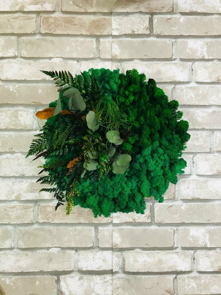 Картина d 42 см из натуральных растений (стабилизированных)