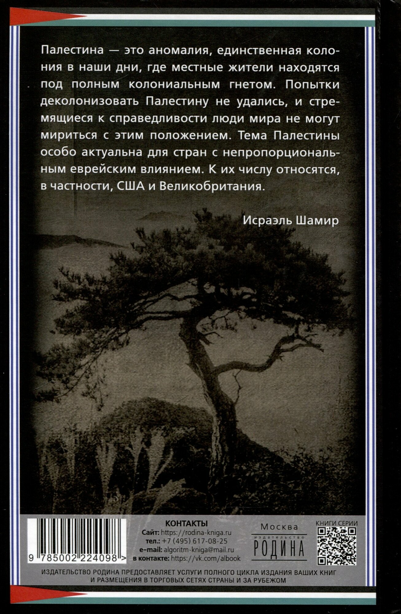 Сосна и олива. Израиль и его соседи