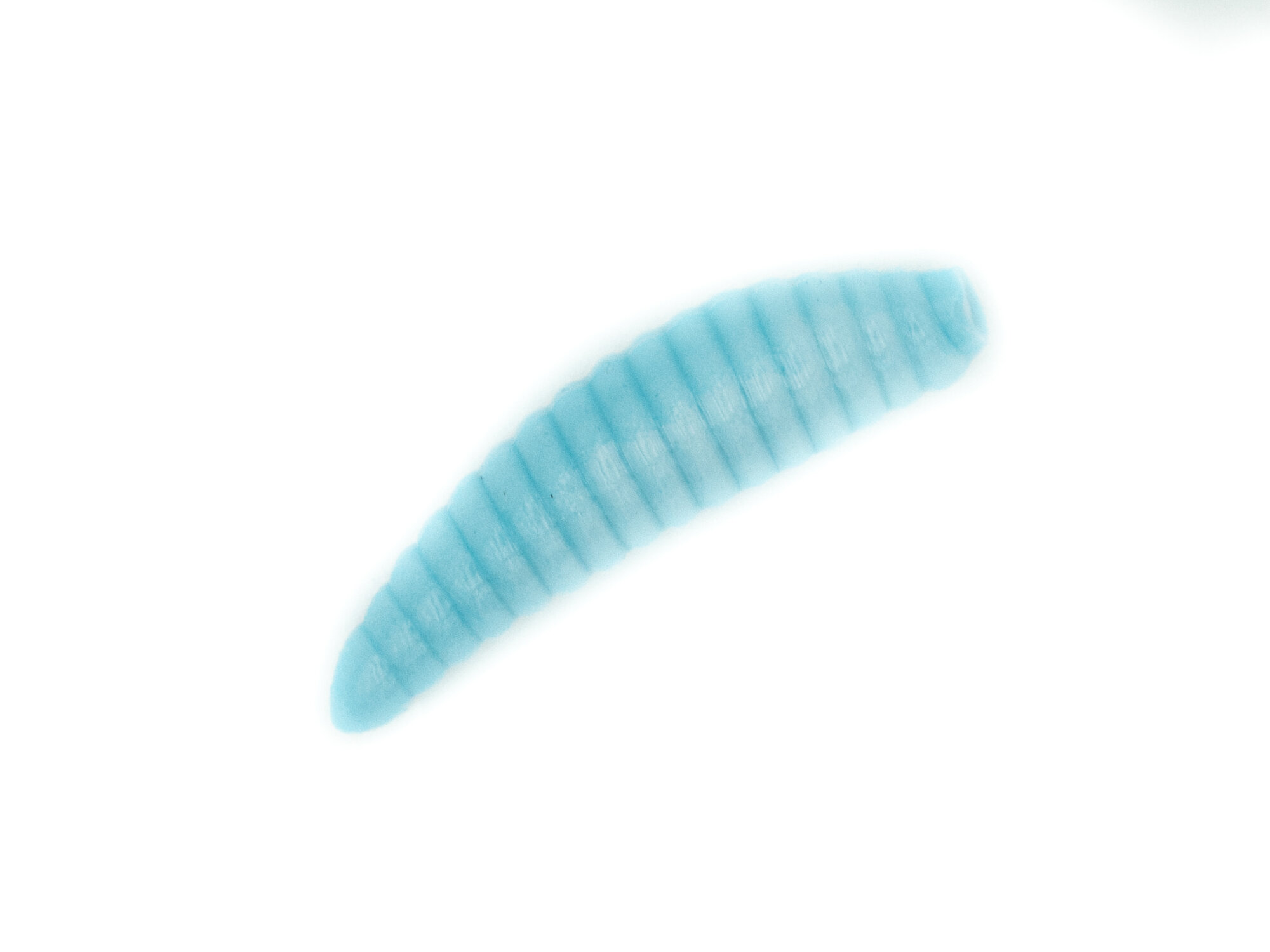 Силиконовые приманки для рыбалки BORODA BAITS SALO 45 Float, 104 Голубой, сыр / Форелевые приманки