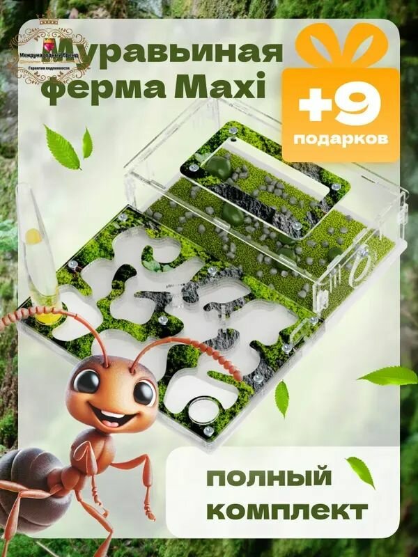 Муравьиная ферма