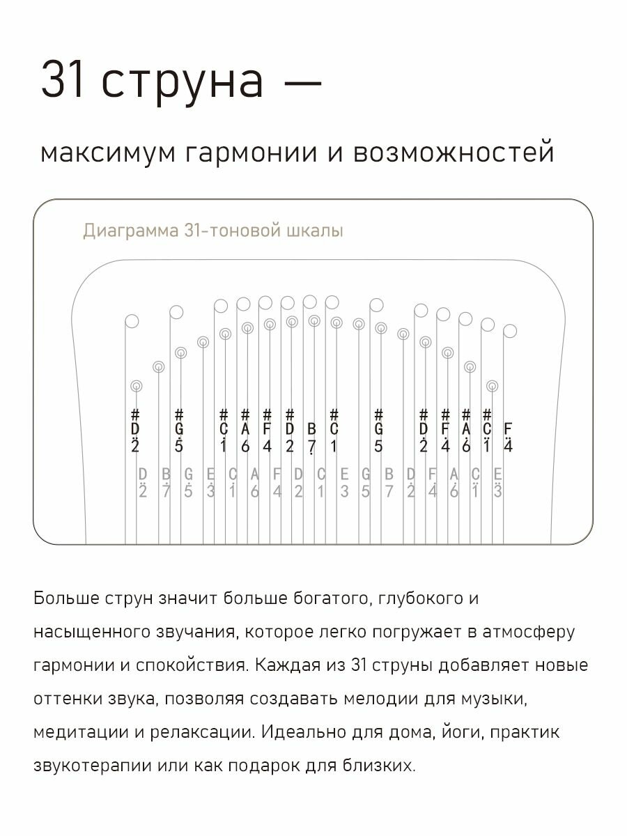 Струнный инструмент — фото 1