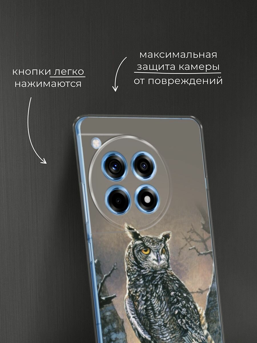 Чехол на OnePlus Ace 3/12R / Ван Плас Асе 3/12R с принтом "Сова арт 5" — фото 1