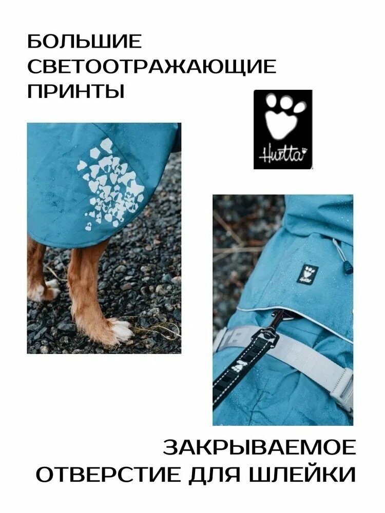 Одежда для животных — фото 1