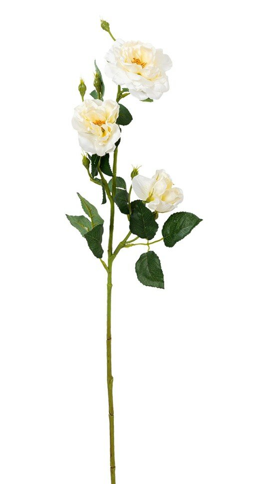 Fiebiger Floristik 207124-130 Ветка декоративная "Шиповник", 68 см