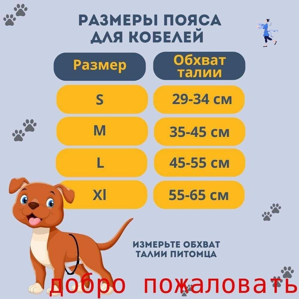 Пояс для кобелей многоразовый, впитывающие