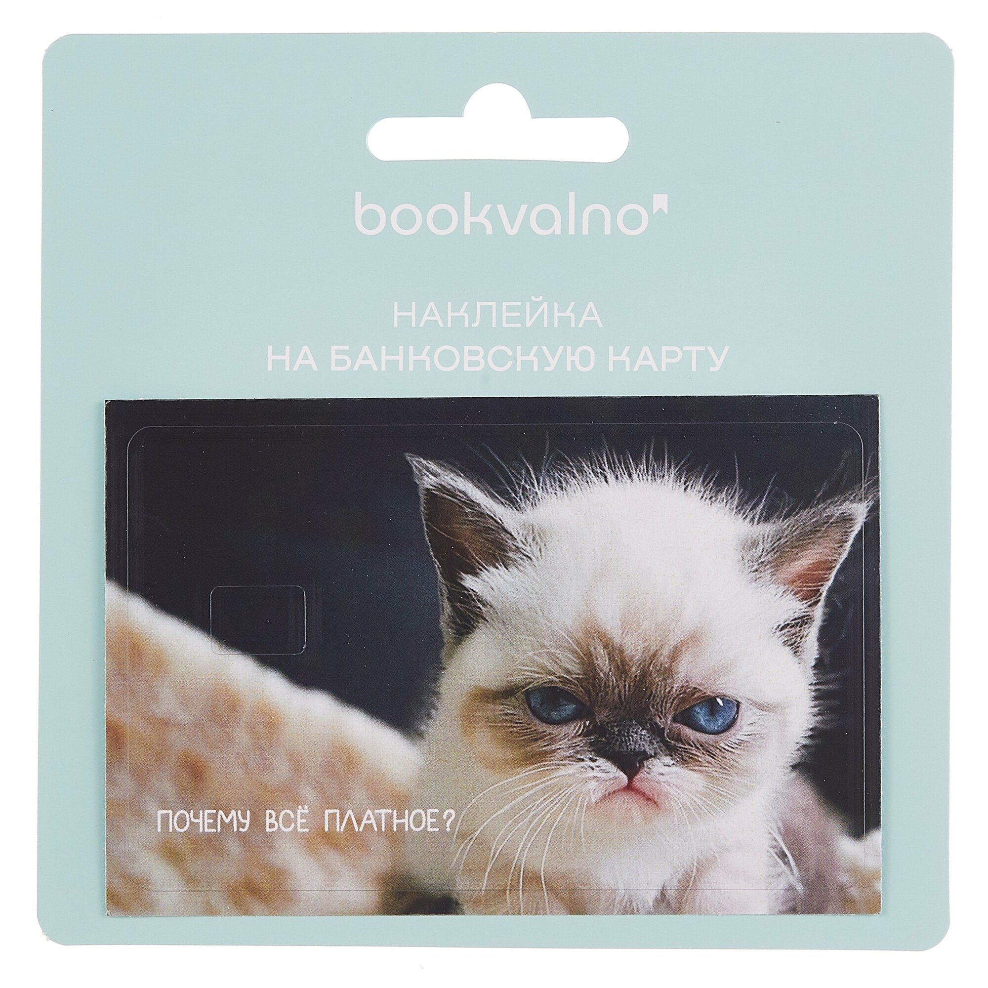 Наклейка на банковскую карту "Сонный кот"