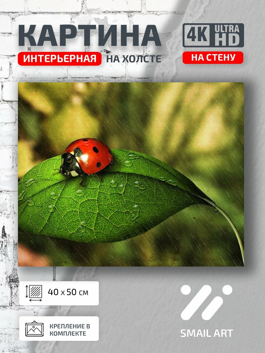 Картина на холсте интерьерная 40 на 50 на стену Дождь Mood для гостиной атмосфера интерьер