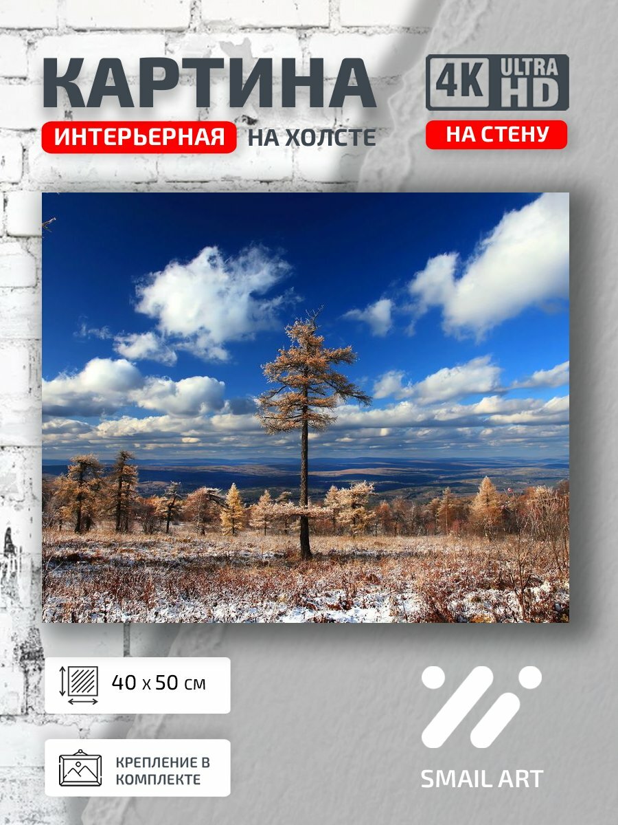 Картина на холсте интерьерная 40 на 50 на стену Дерево Landscape для гостиной пейзаж декор