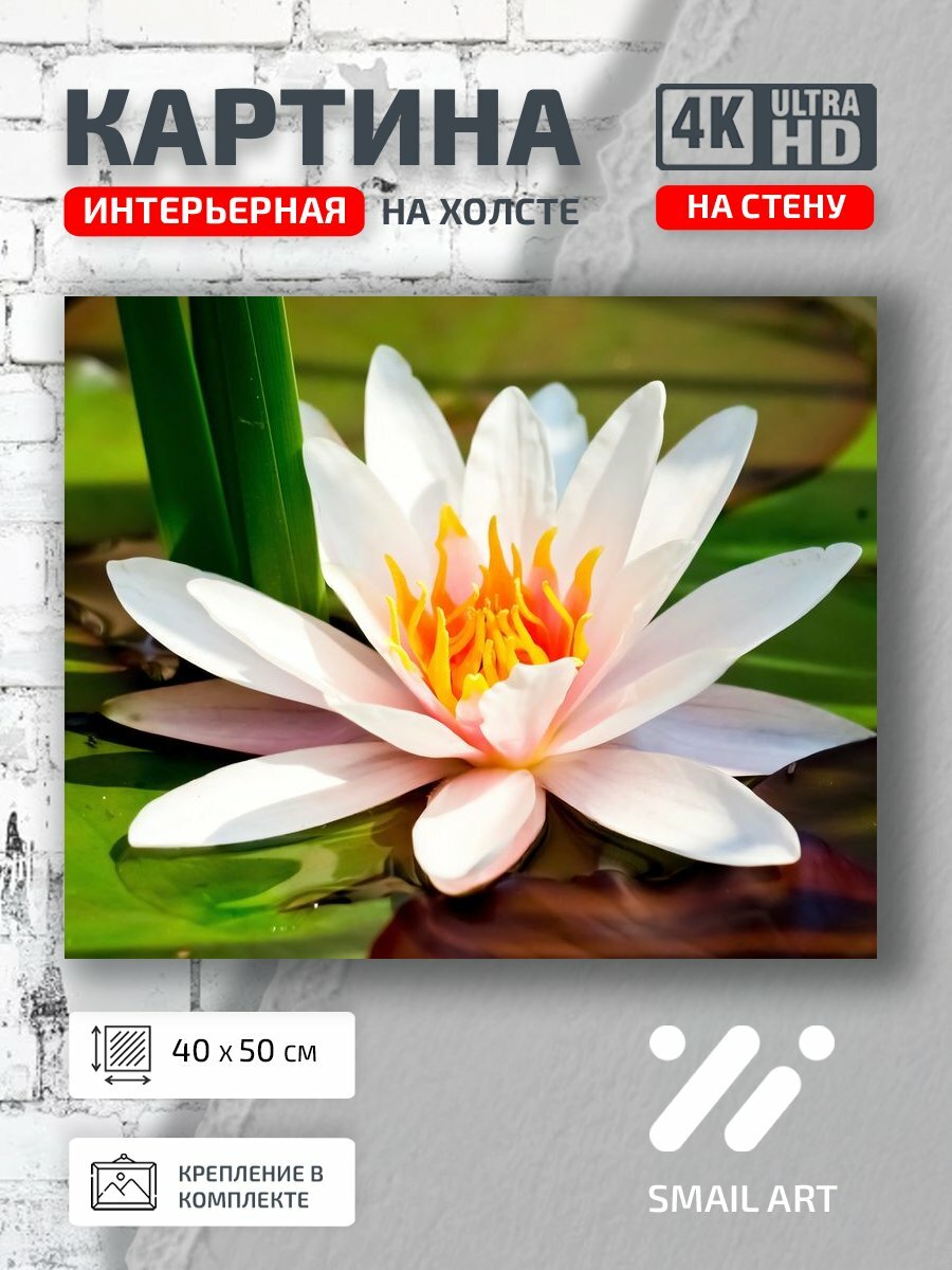 Картина на холсте интерьерная 40 на 50 на стену Лилия Landscape для кабинета пейзаж декор