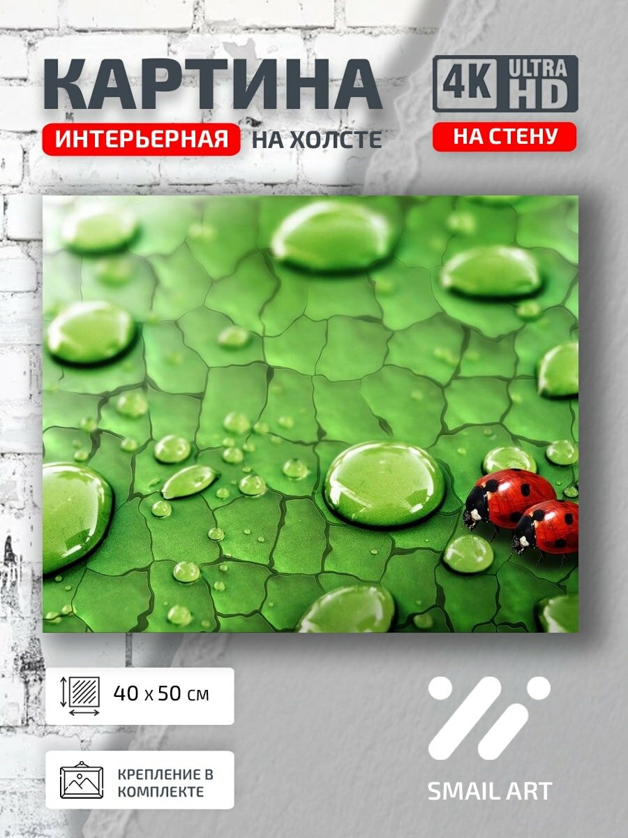 Картина на холсте интерьерная 40 на 50 на стену краплями зеленье для спальни атмосфера