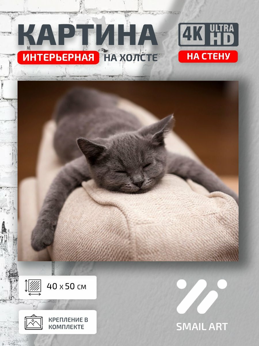 Картина на холсте интерьерная 40 на 50 на стену Сон Animal для кафе animal style интерьер