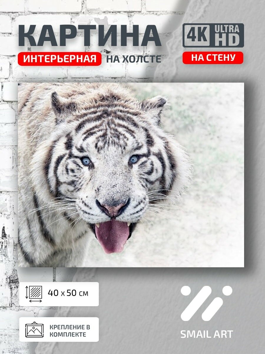 Картина на холсте интерьерная 40 на 50 на стену Дикое животное для кабинета атмосфера