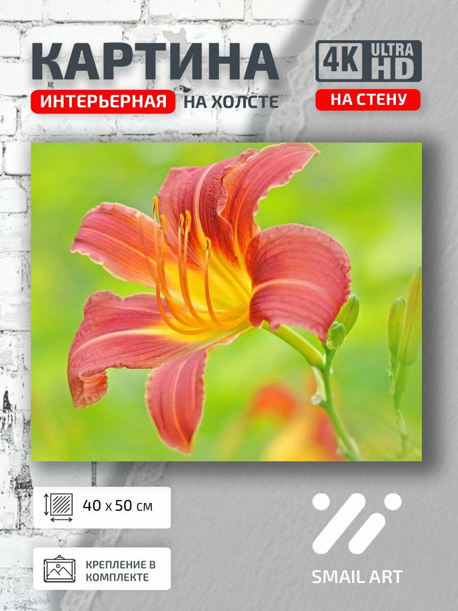 Картина на холсте интерьерная 40 на 50 на стену Пестик Macro для кабинета макро интерьер