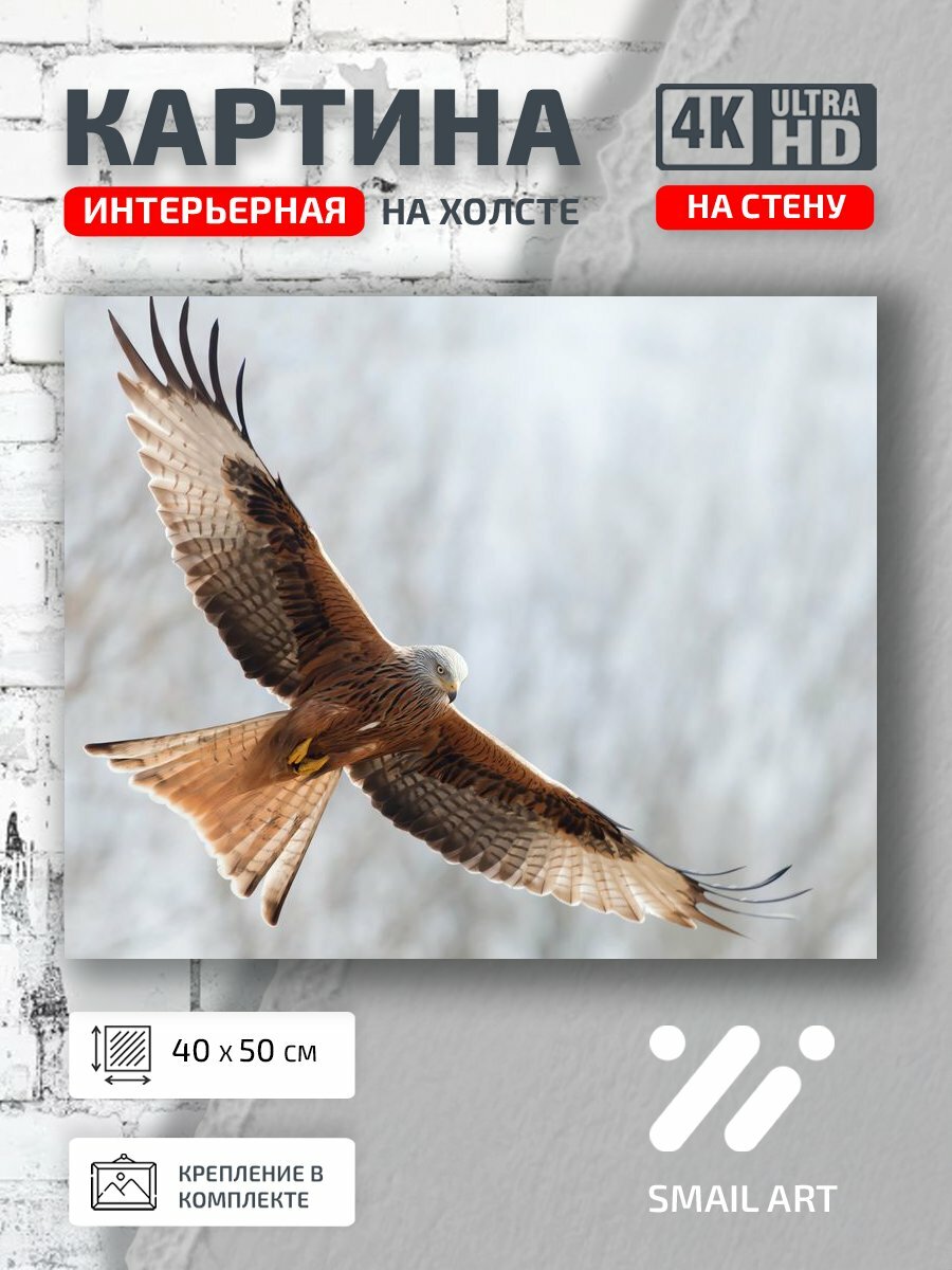Картина на холсте интерьерная 40 на 50 на стену Сапсан Mood для гостиной атмосфера интерьер