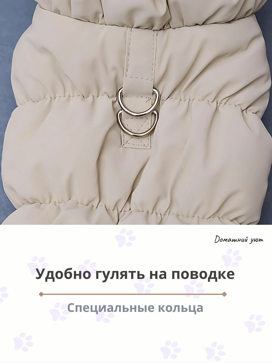 Одежда для животных — фото 1