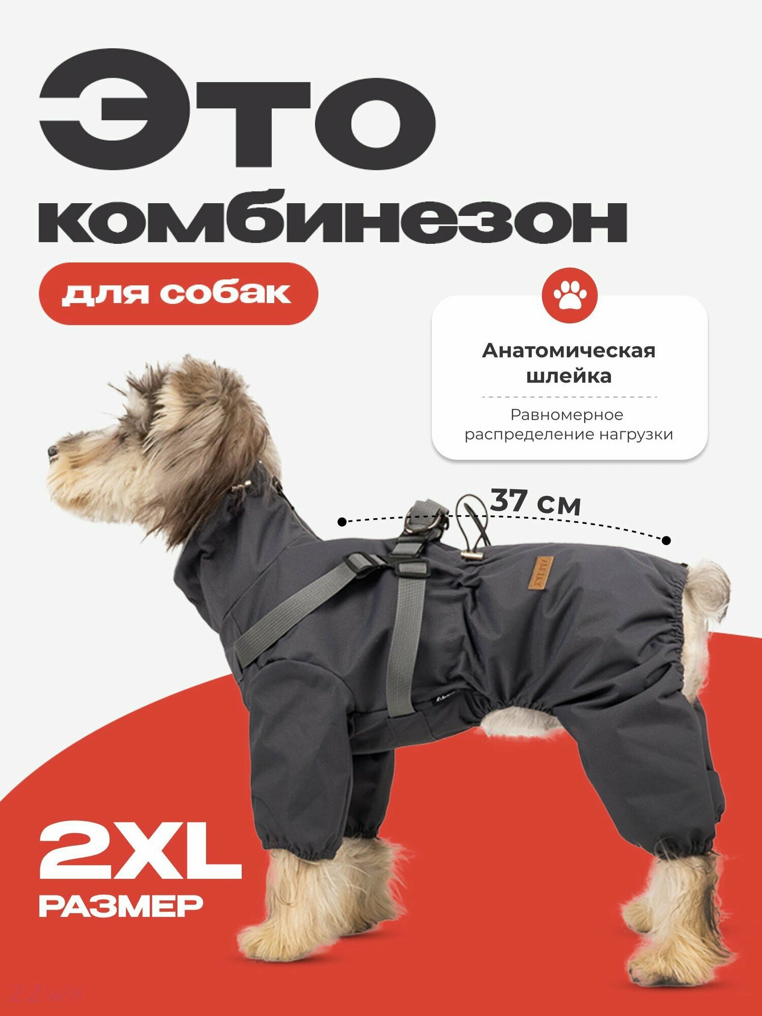 Одежда для животных