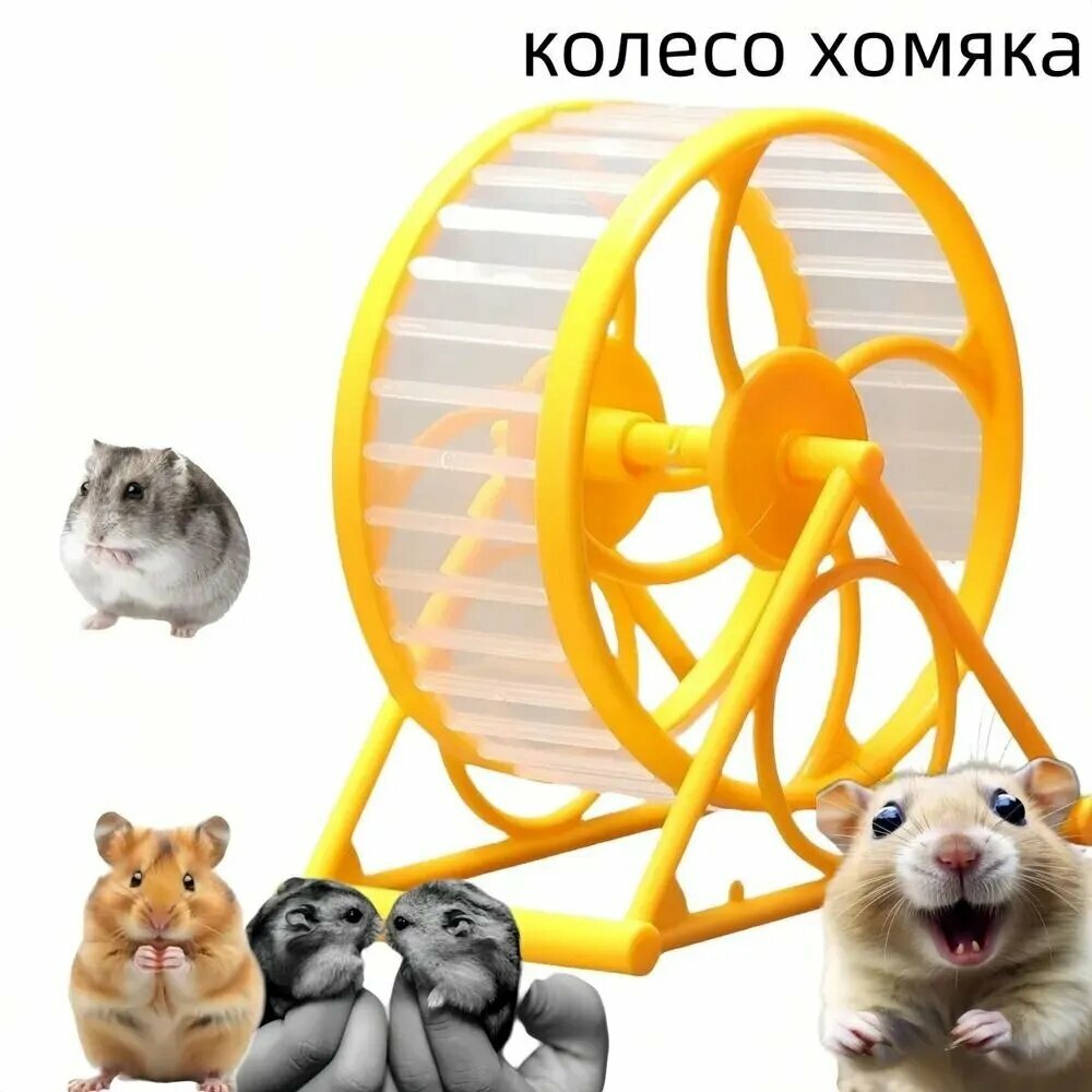 Беговая дорожка для хомяков, золотой медведь, стойка, нескользящие ножки, игрушка для мелких животных