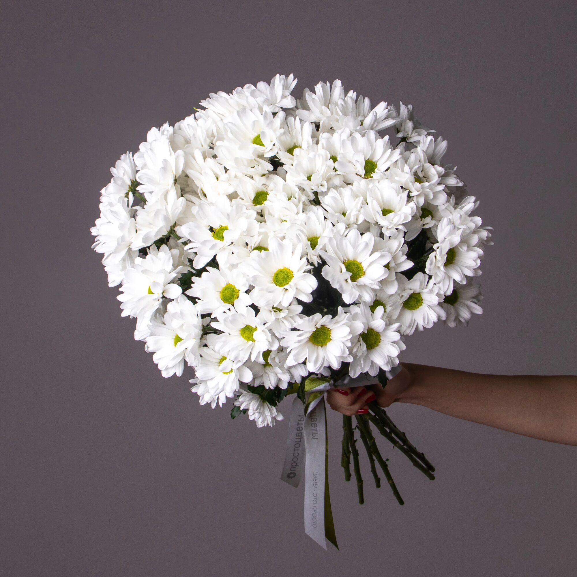 Букет Хризантема кустовая "Шик" 9 шт Высота 70 см под ленту от "Простоцветы"