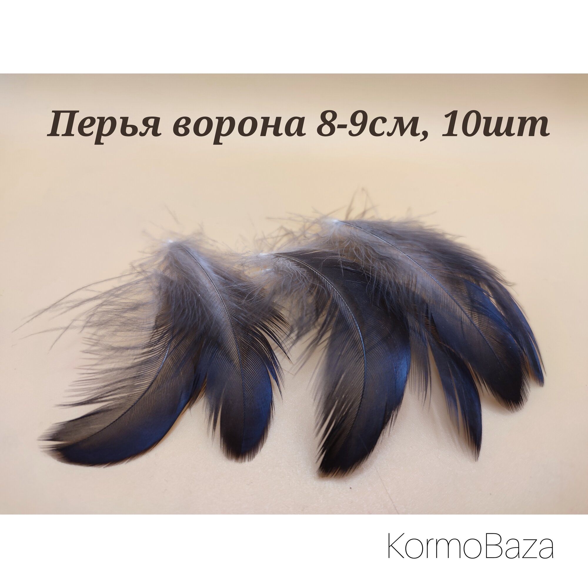 Перья ворона, набор 10шт