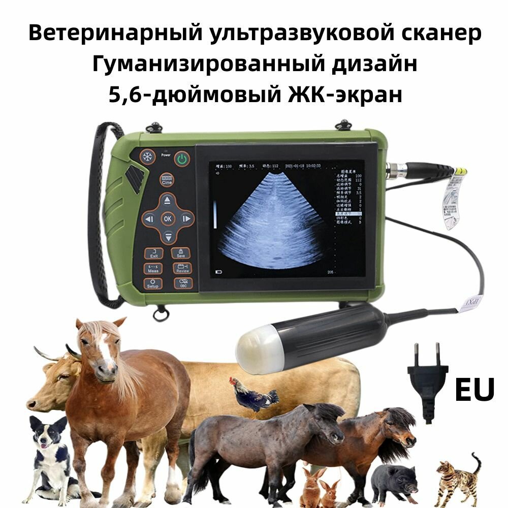 Ветеринарный ультразвуковая сканеры, Портативный ветеринарный ручной сканер B-УльтрАзвук с зондом 3,5 МГц для определения беременности свиньи, овцы, собаки, кошки