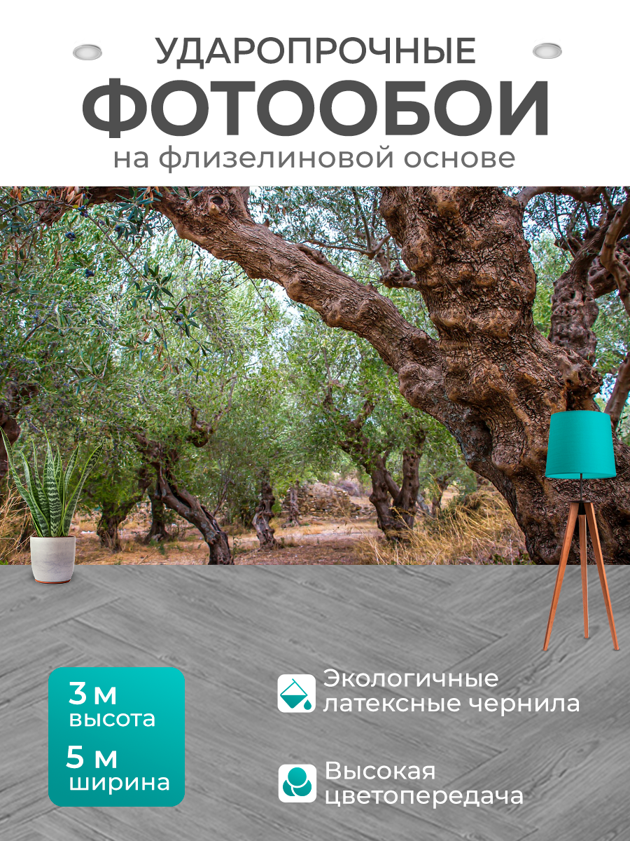 Фотообои моющиеся ударопрочные "Оливковая роща, оливковое дерево, природа" 500x300 см. флизелиновые на стену
