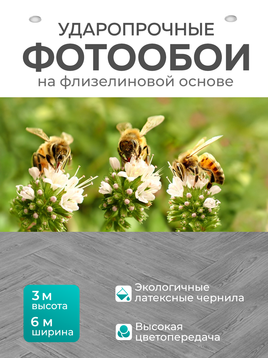 Фотообои моющиеся ударопрочные "Пчелы, насекомые, цветочная пыльца" 600x300 см. флизелиновые на стену