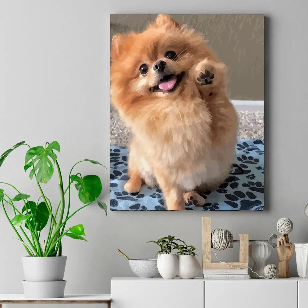 Алмазная Мозаика "Шпиц" 30х40 См Алмазная Вышивка / Картина Стразами Подарков / Украшения