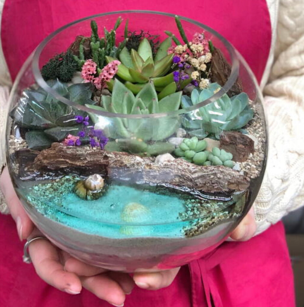 Флорариум "Денежный Магнит Аква", с суккулентами и имитацией воды, стеклянный круглый