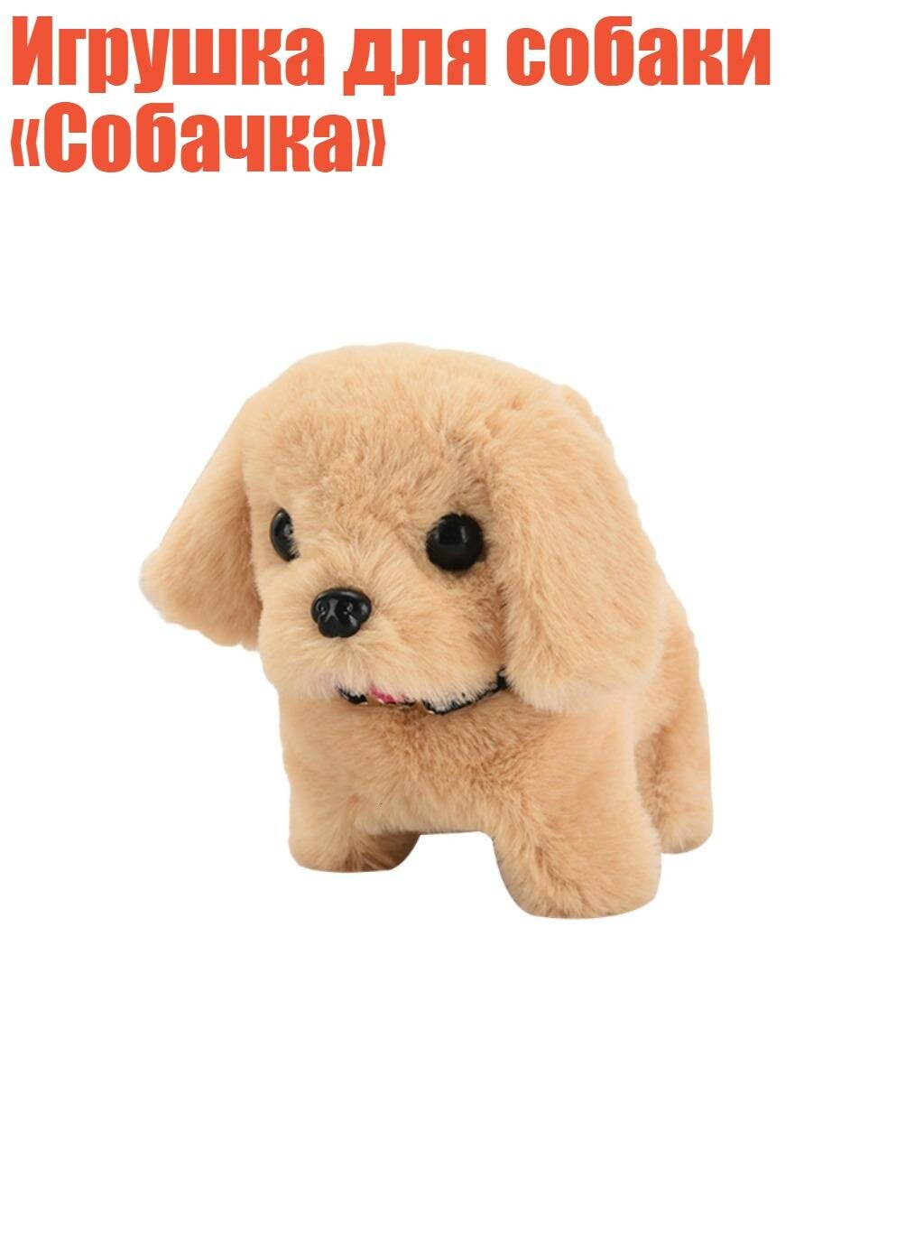 Игрушка для собаки «Собачка», Золотистый Ретривер с ошейником