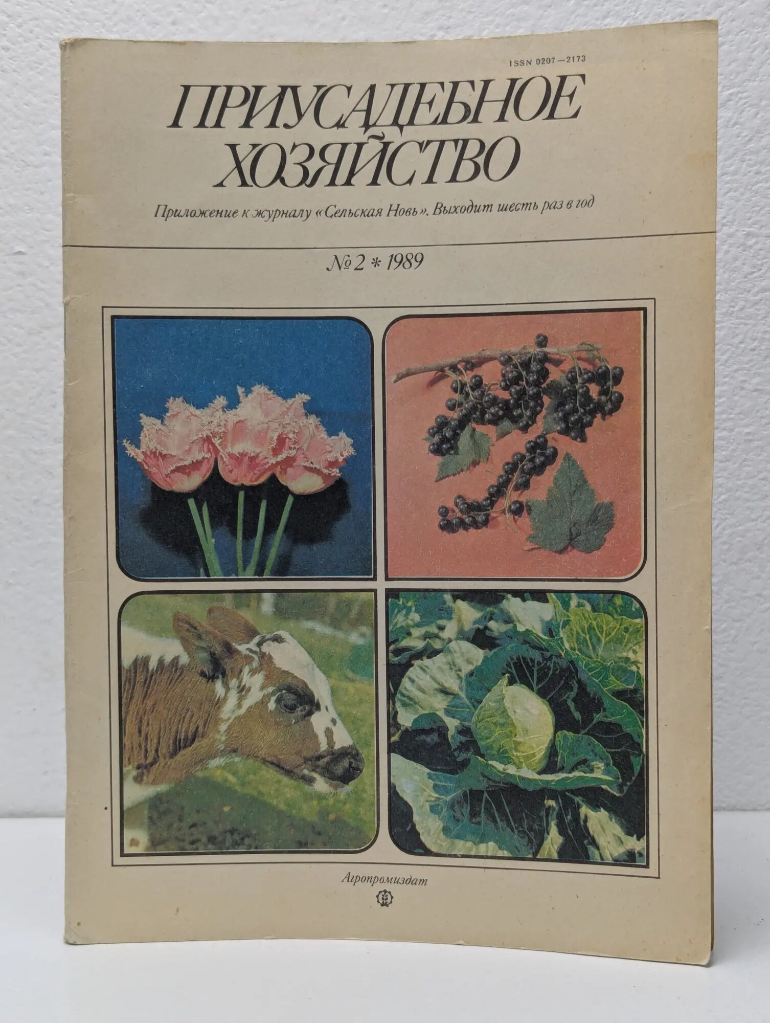 Приусадебное хозяйство. Выпуск №2/1989 Сборник 1989
