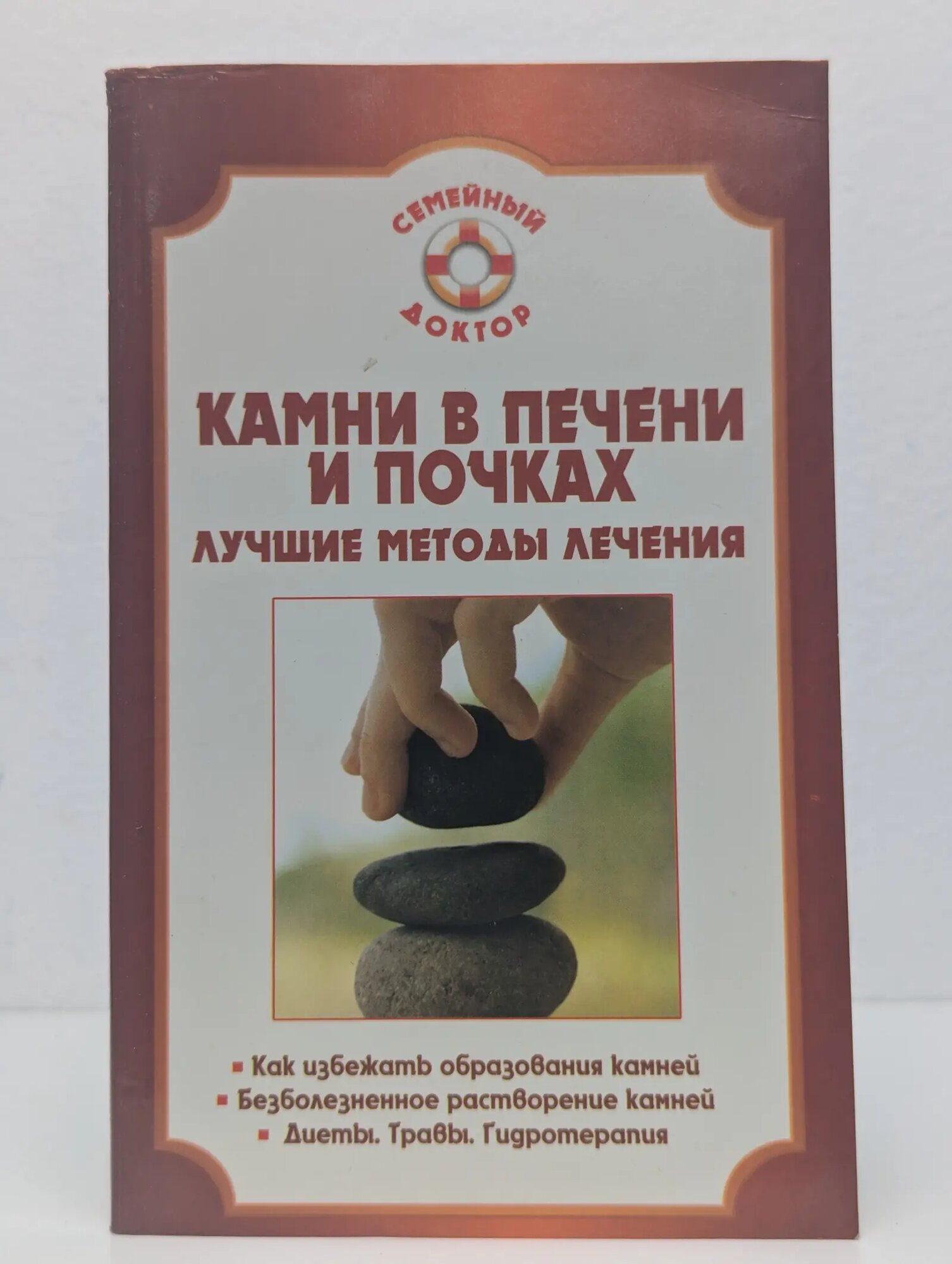 Камни в печени и почках. Лучшие методы лечения Мишинькин Павел Николаевич 2009