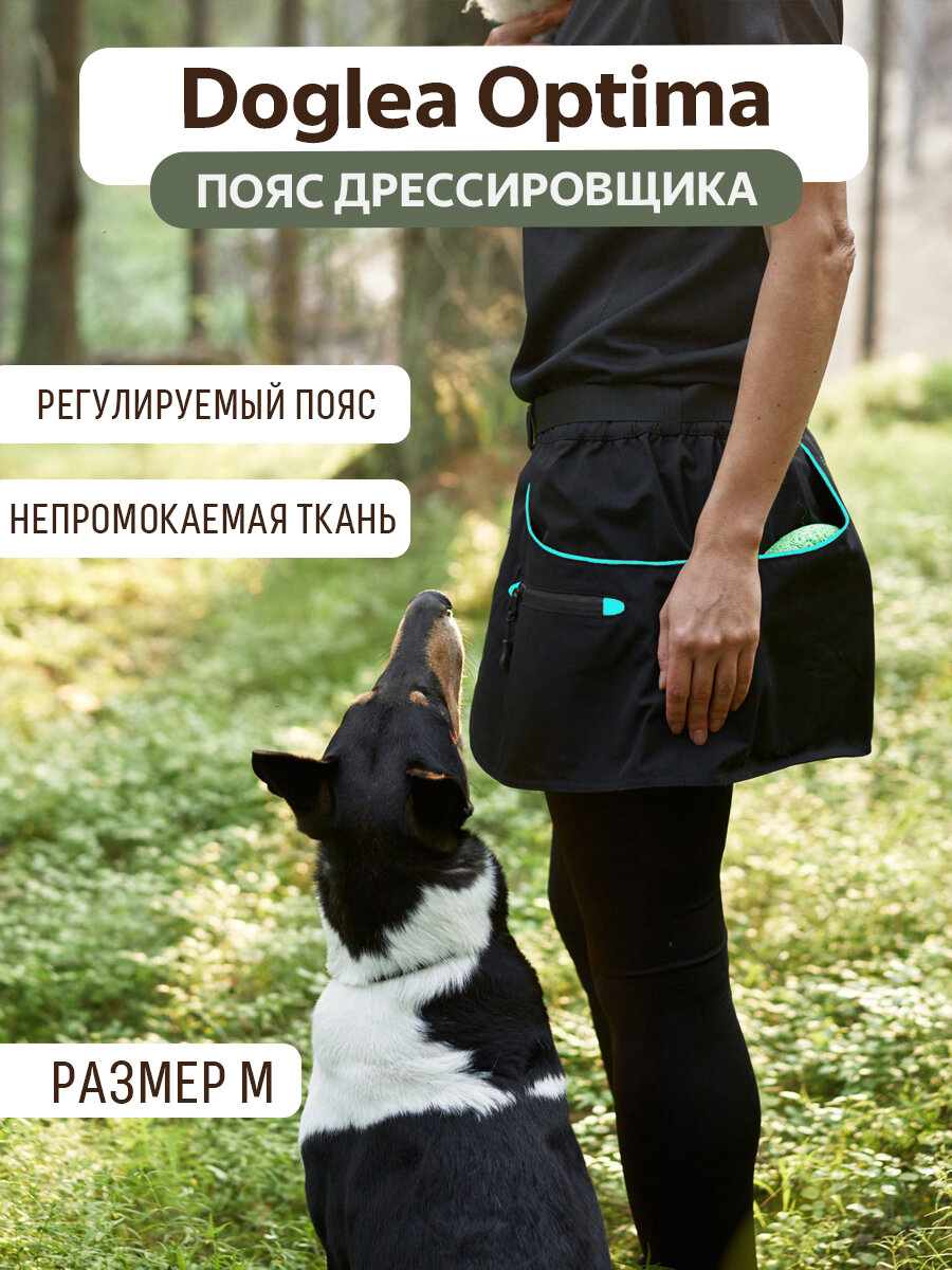 Юбка дрессировщика DOGLEA Optima Color, бирюзовая, размер M