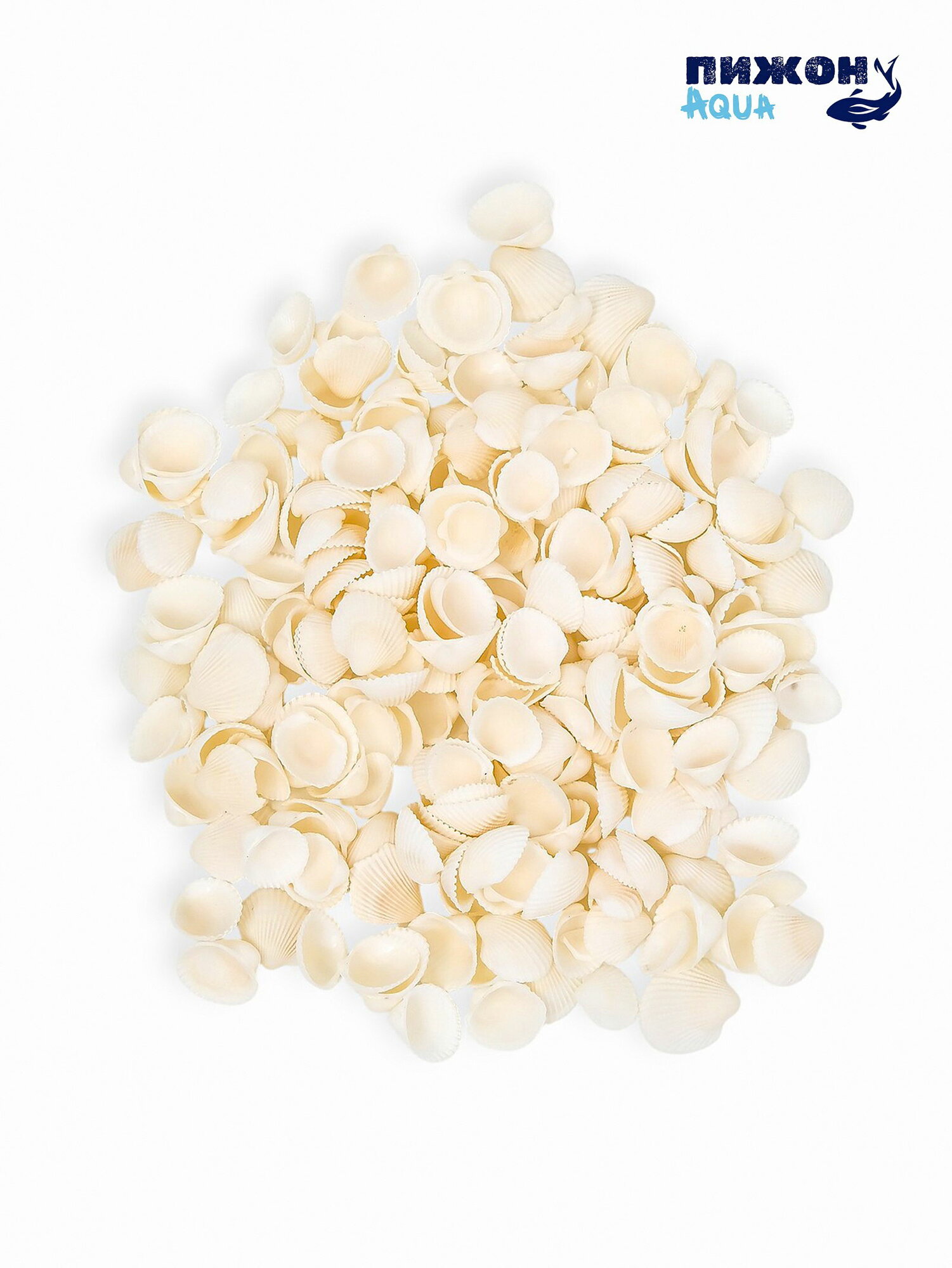 Набор ракушек декоративных 1.5-3 см, 100 г, цвет: белый, вид декора: ракушки