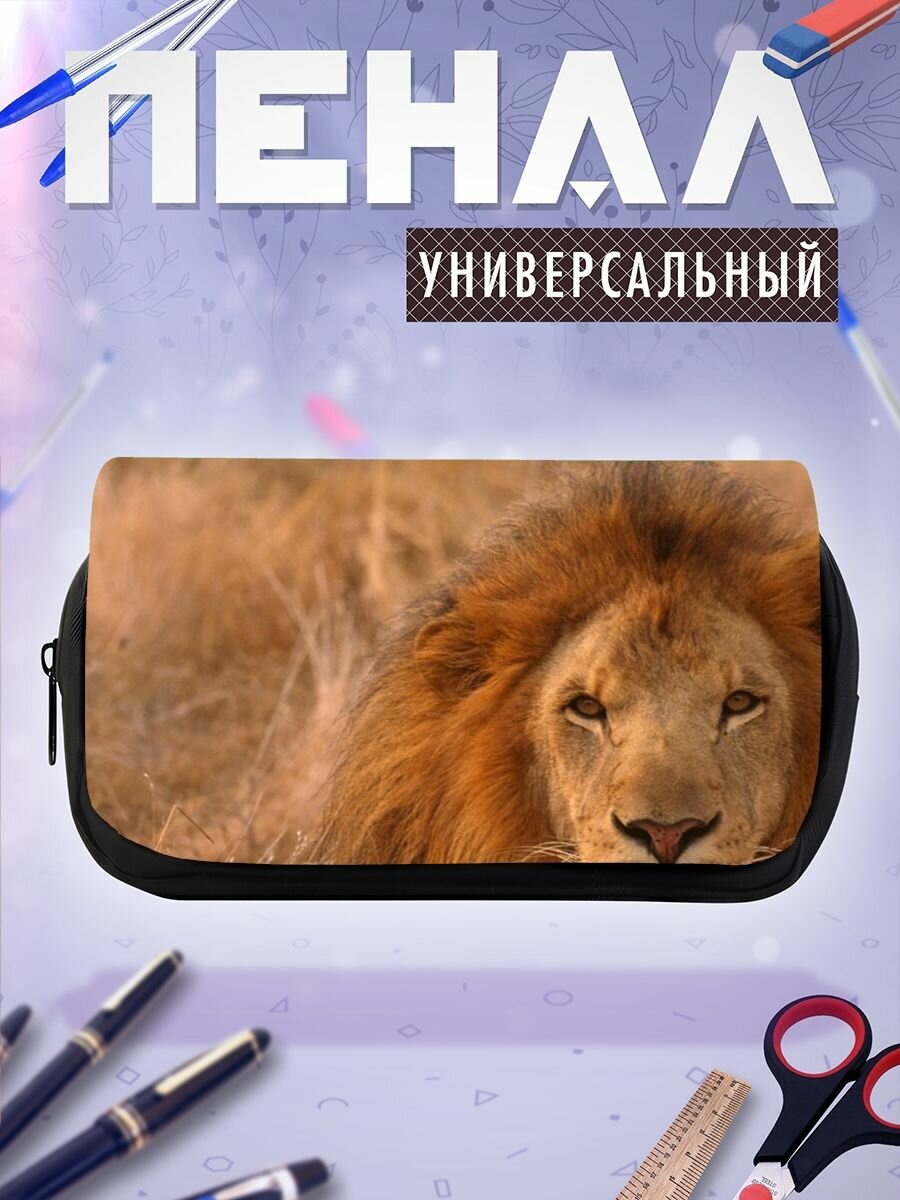Школьный пенал Лев живая природа
