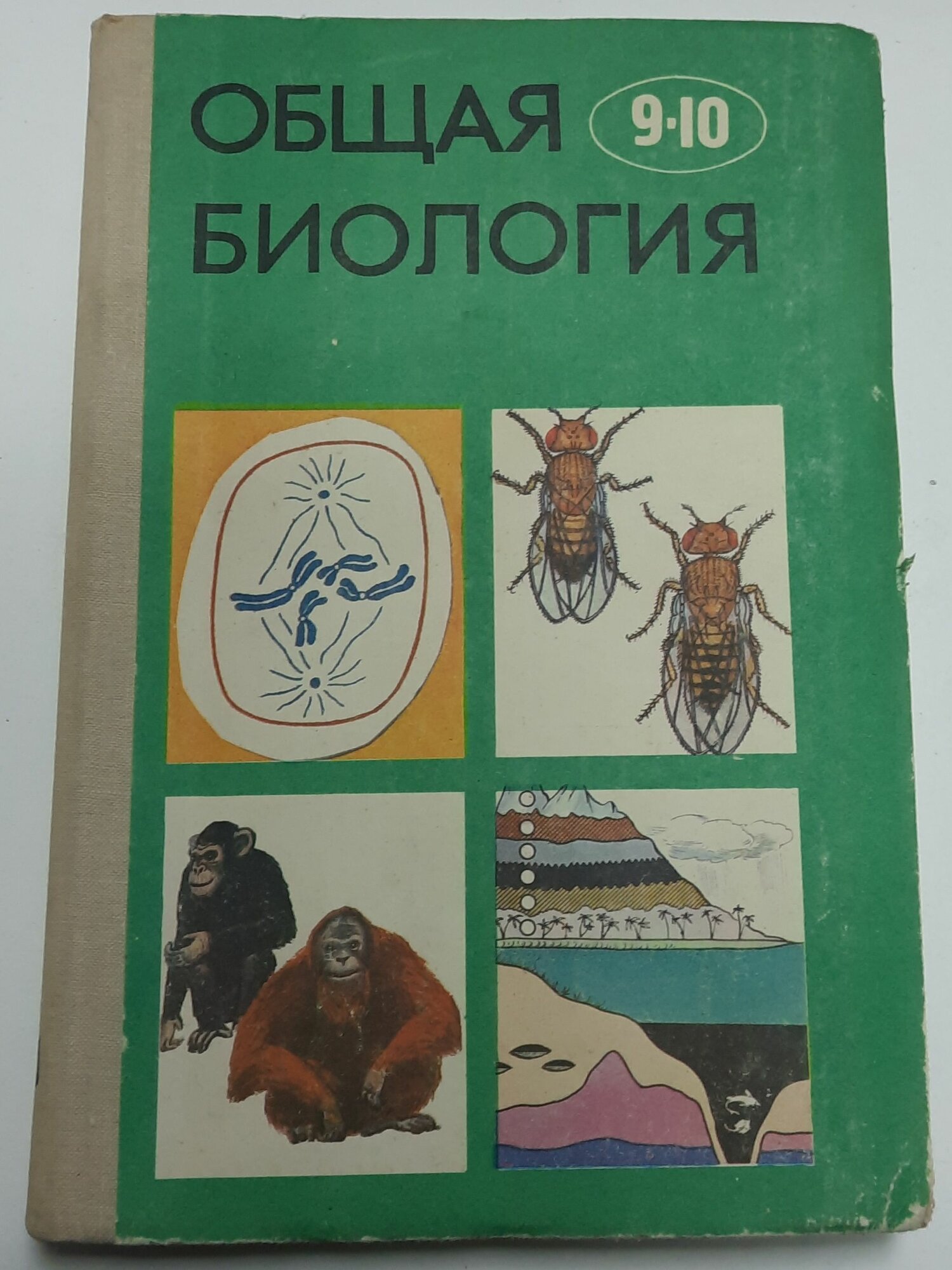 Общая биология 10-11 класс