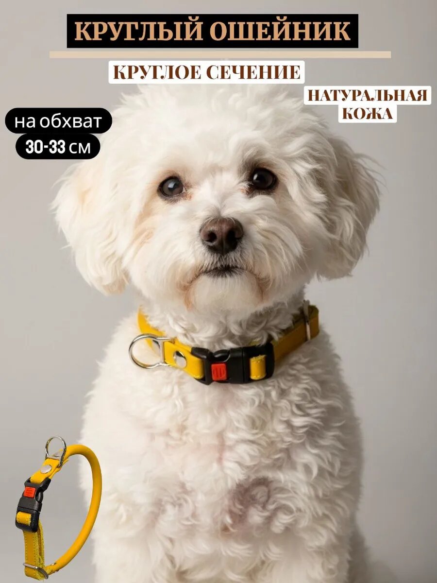 Dogbond Ошейник для шпица круглый кожаный 30-33 см