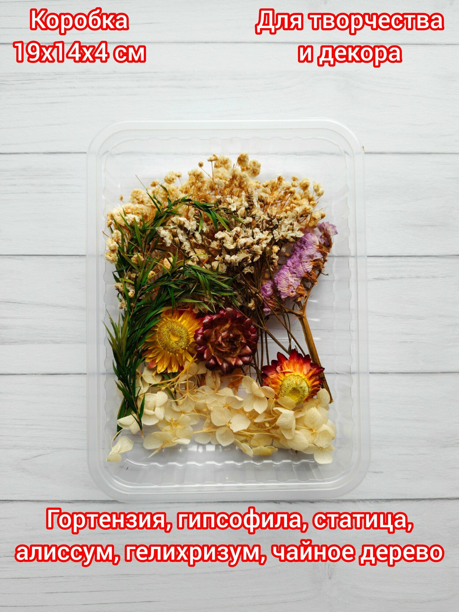 Набор сухоцветов для творчества и декора, 500 мл, бренд ЯнаART