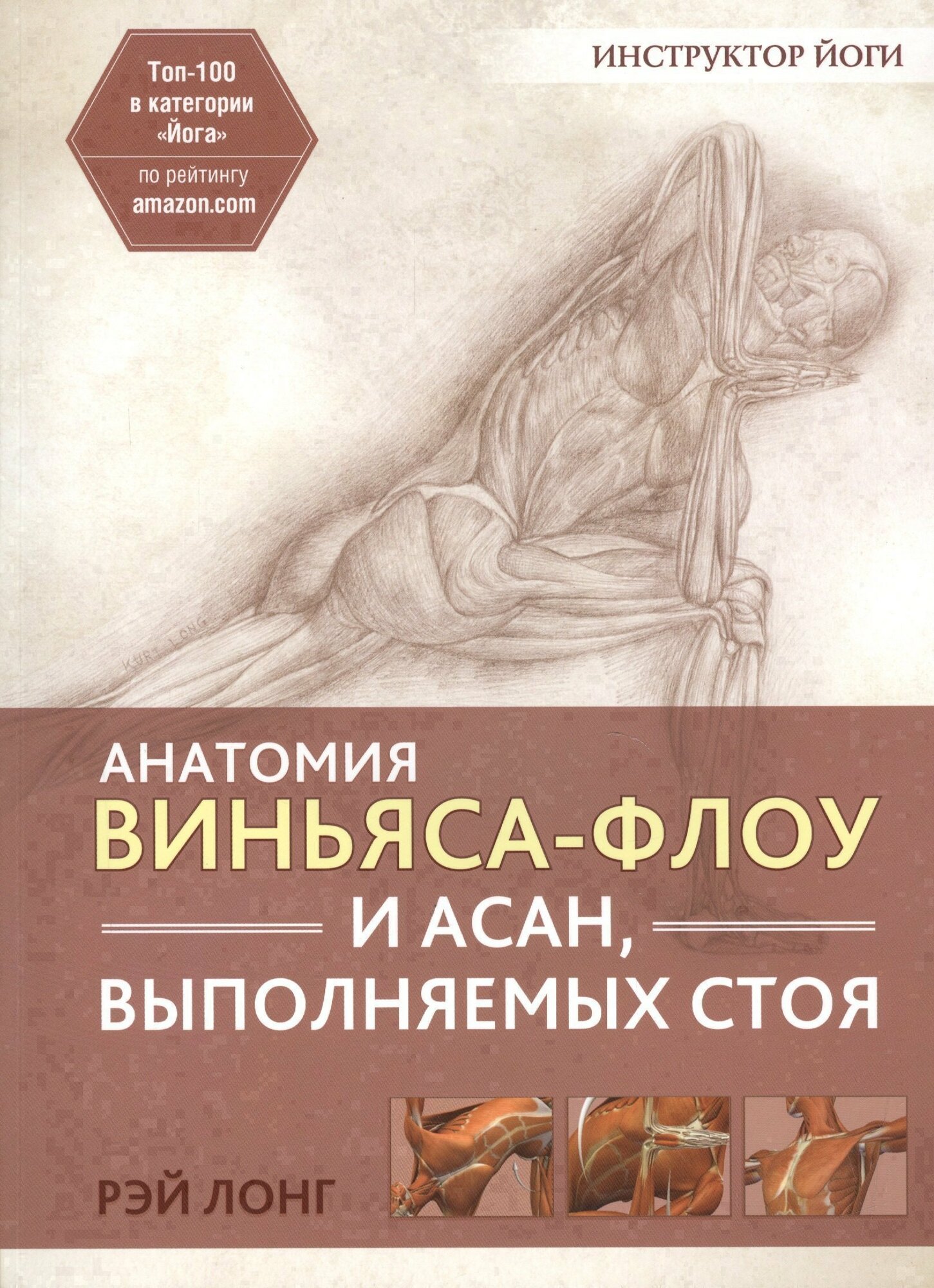 Анатомия виньяса-флоу и асан, выполняемых стоя / Рэй Лонг