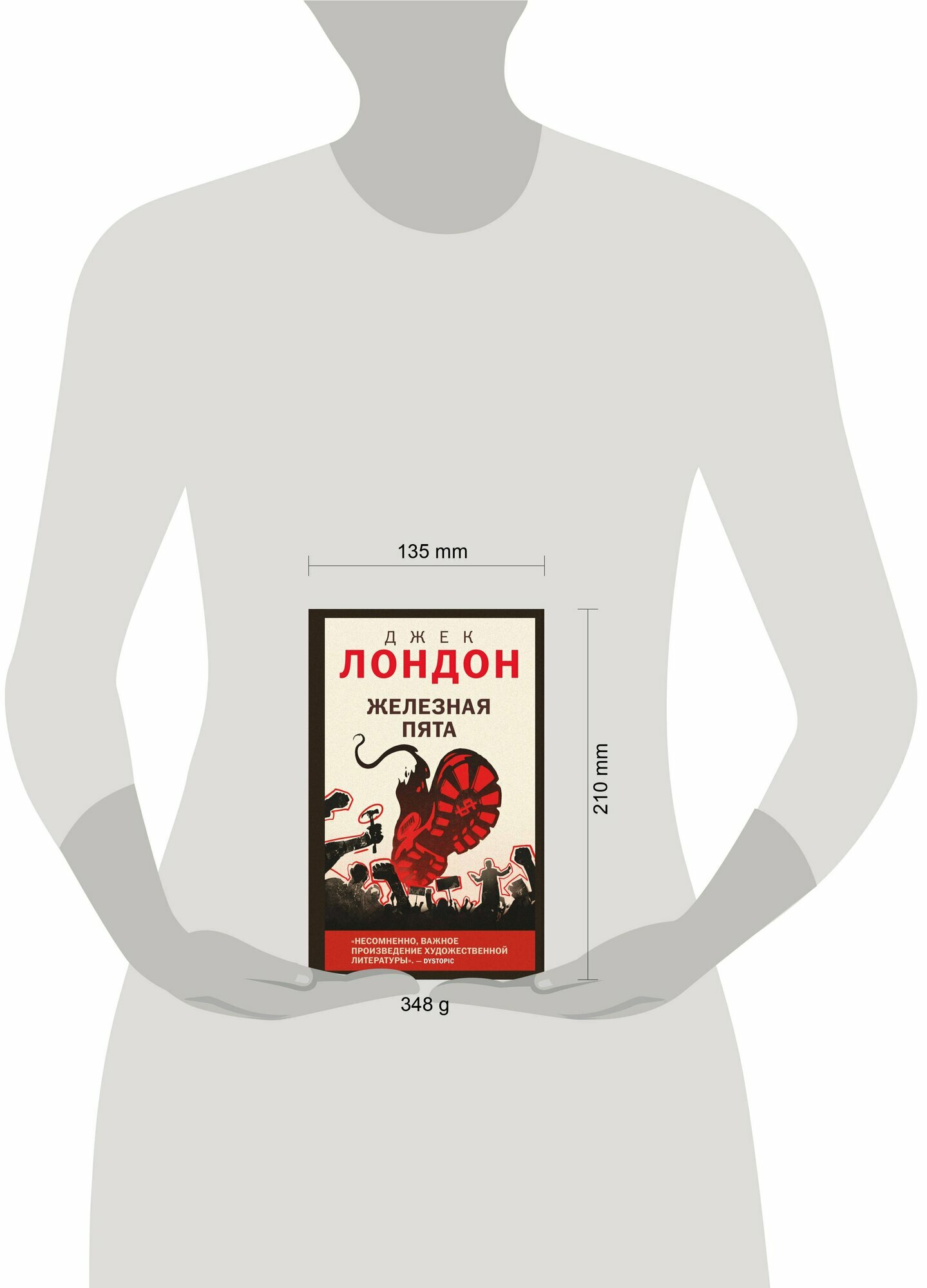 Железная пята — фото 1